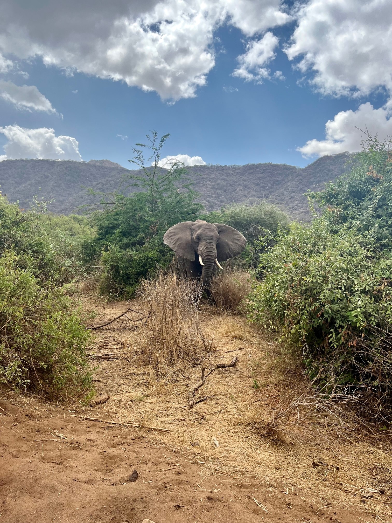 Taking Off: An epic adventure to Tanzania with andBeyond — The M Collective